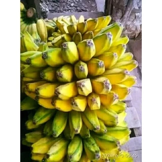 Jual Pisang Kepok Terlengkap & Harga Terbaru Juli 2024 | Shopee Indonesia