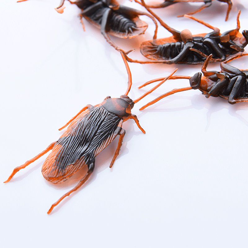 Jual mainan kecoa karet untuk jahil | Shopee Indonesia