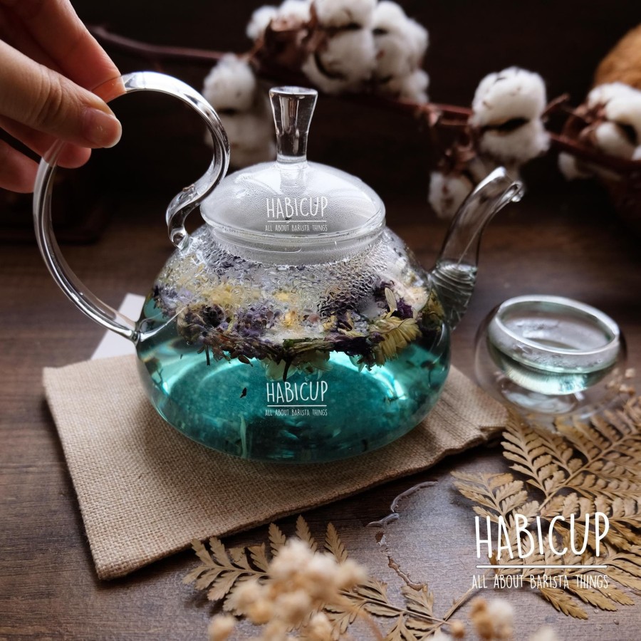 Jual Teko Kaca Teh 800 ml - Artisan Clear Glass Kettle Tea - Saringan ...