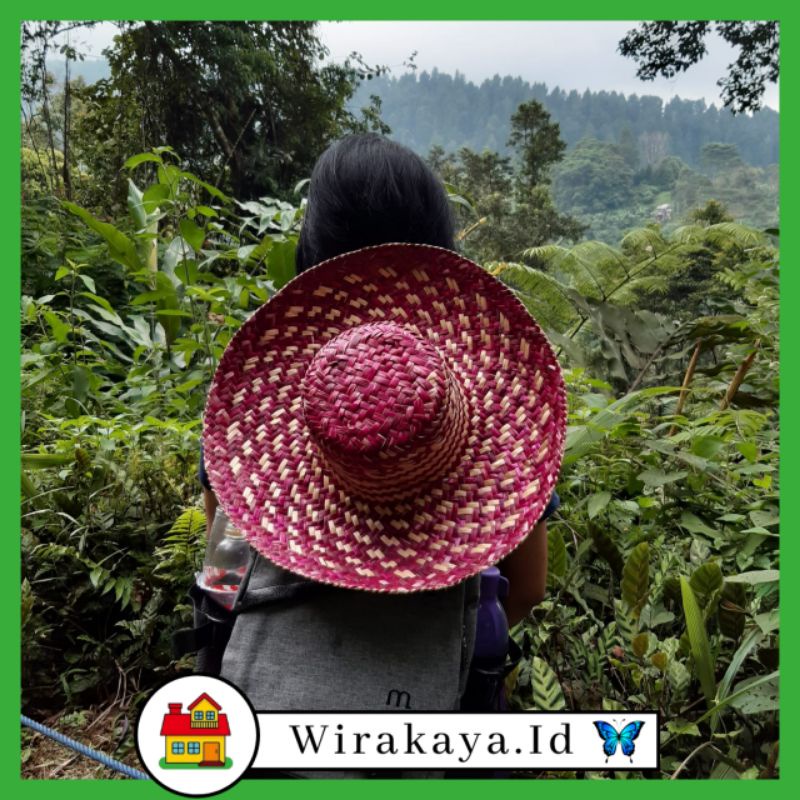 Jual TOPI PANTAI ANYAMAN PURUN Topi Koboi Khas Kalimantan | Shopee ...