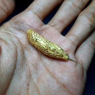 Jual Besi Kuning Terlengkap & Harga Terbaru April 2025 | Shopee Indonesia