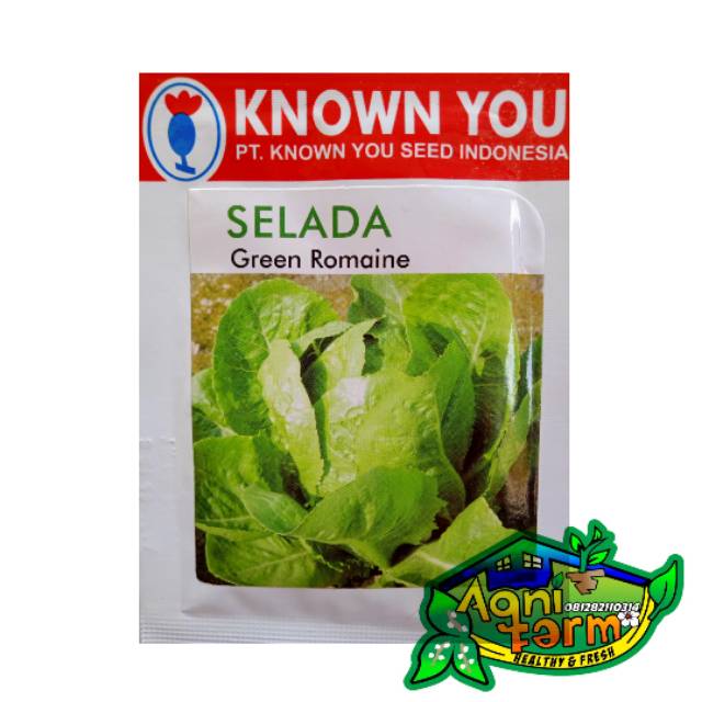 Jual Benih Bibit Selada Green Romaine - KYS Known You Seed | Shopee Indonesia