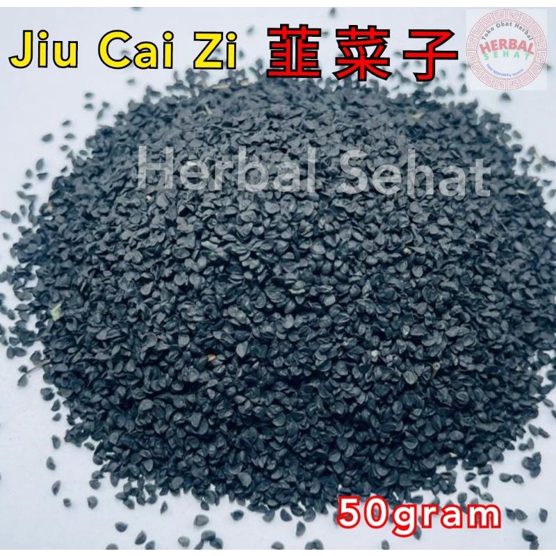 Jual 50 gram Jiu Cai Zi - TUBER ONION SEED 韭菜子 韭菜籽 久菜子 SEEDS SEMEN ...