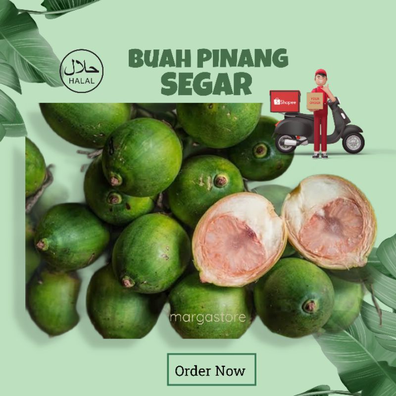 Jual Buah Pinang Muda 1000gr Buah Pinang Segar Buah Jame | Shopee Indonesia