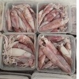 Jual Cumi Segar Besar | Shopee Indonesia