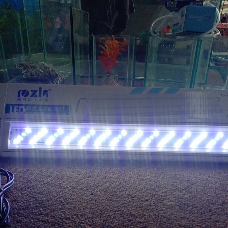 Jual Lampu Aquarium Roxin LED 40-50cm | Shopee Indonesia