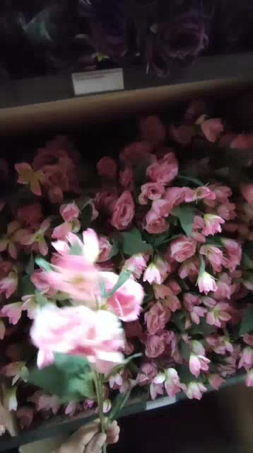 Jual 5 KUNTUM ROSE EUSTOMA SPRAY FLOWER WITH LEAF DAUN Bunga Mawar Rose ...