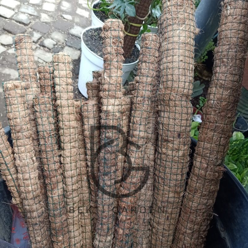 Jual Turus penyangga tanaman 60cm | Shopee Indonesia