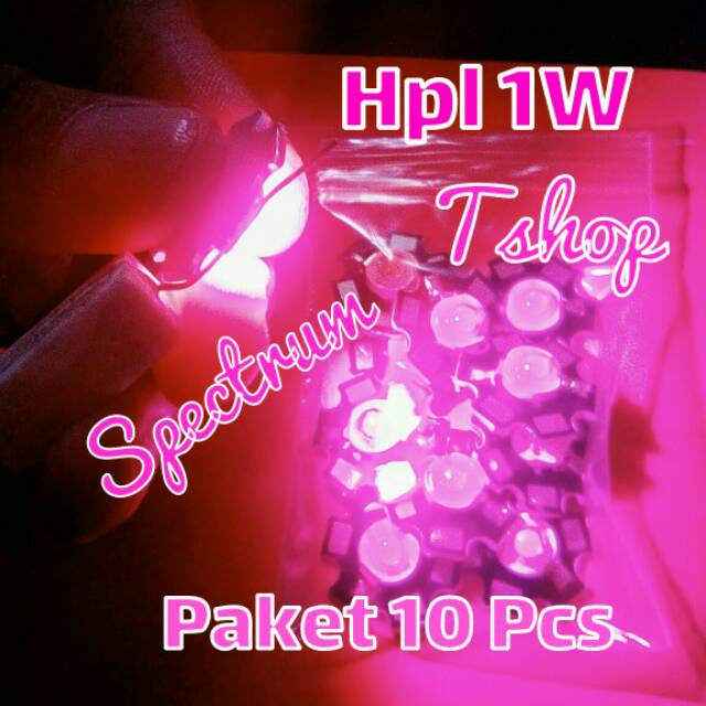 Jual Paket 10 Pcs Hpl 1W Pink Full Spectrum | Shopee Indonesia