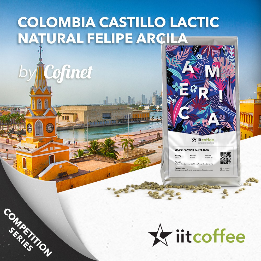 Jual Arabica Green Beans - Colombia Felipe Arcila - 1Kg | Shopee Indonesia