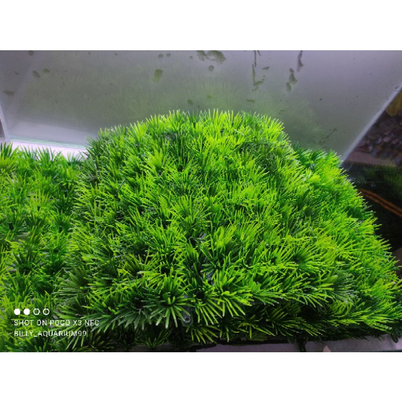 Jual RUMPUT PLASTIK/RUMPUT HIASAN/RUMPUT JARUM | Shopee Indonesia