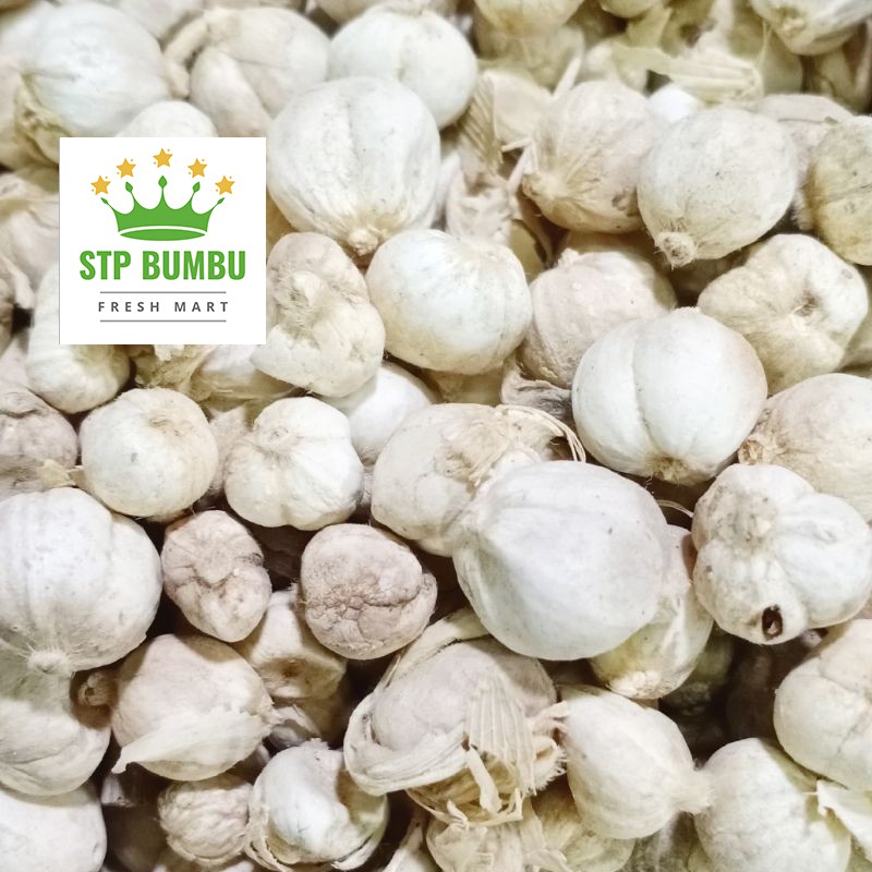 Jual Kapolaga Putih Kering Kapol Lokal 25gr - 100gr / Kapulaga | Shopee ...