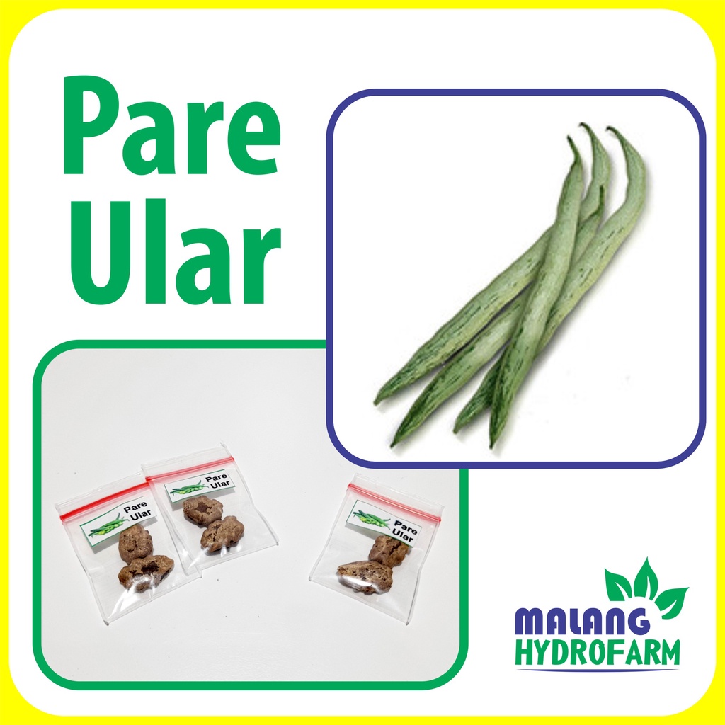 Jual Benih Pare Ular Unggulan berkualitas biji panjang paria bibit ...