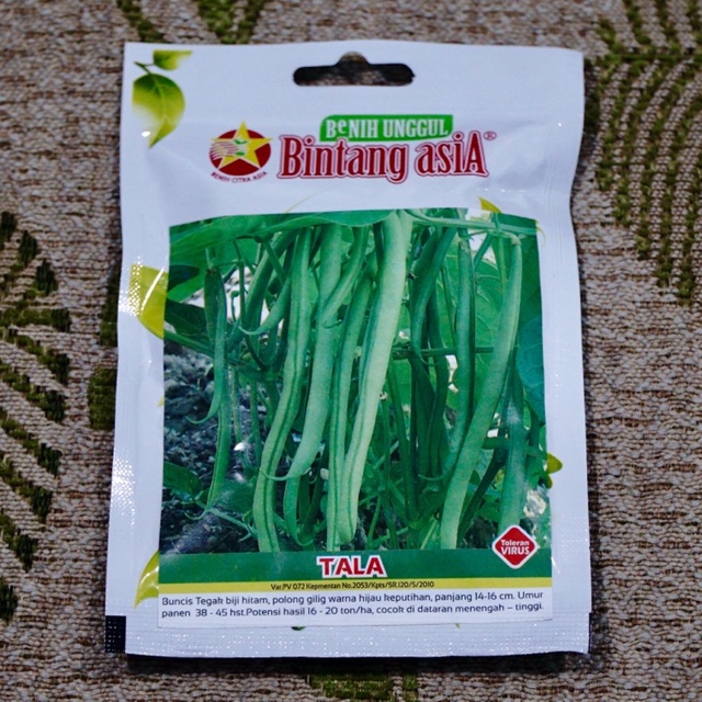Jual Benih Bibit BUNCIS TEGAK Biji Hitam TALA Bintang Asia kemasan asli ...