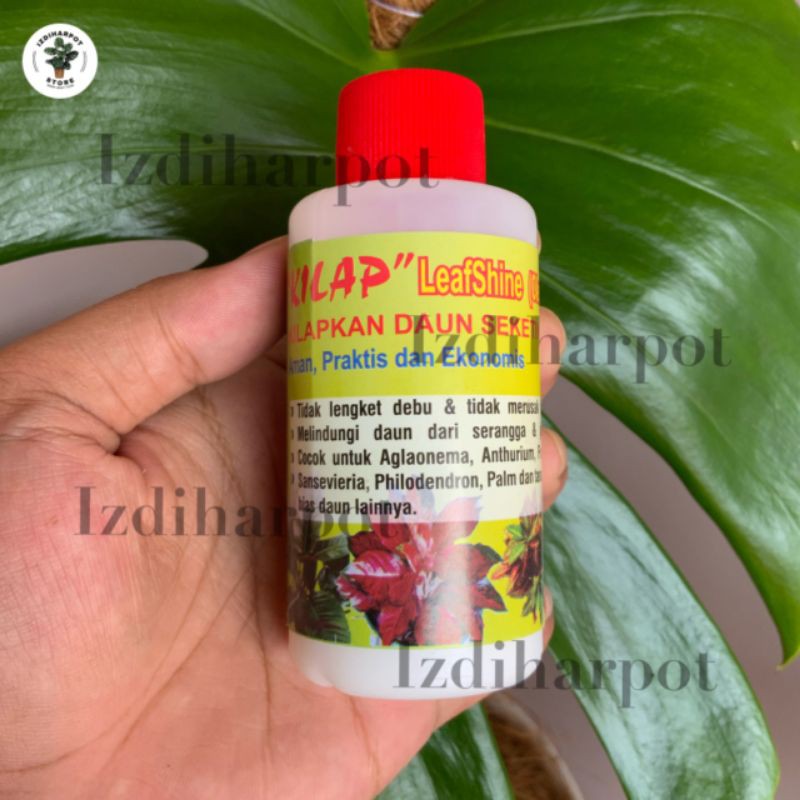 Jual KILAP LEAFSHINE 100ML pengkilat daun bikin tanaman kelihatan bagus ...
