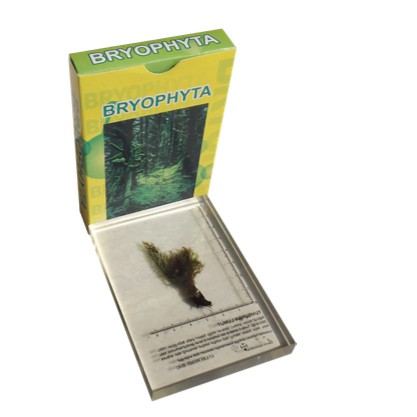 Jual Bioplastik Awetan Spesimen | Shopee Indonesia