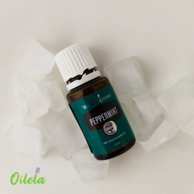 Jual Peppermint 15ml young living essentials oil | Shopee Indonesia