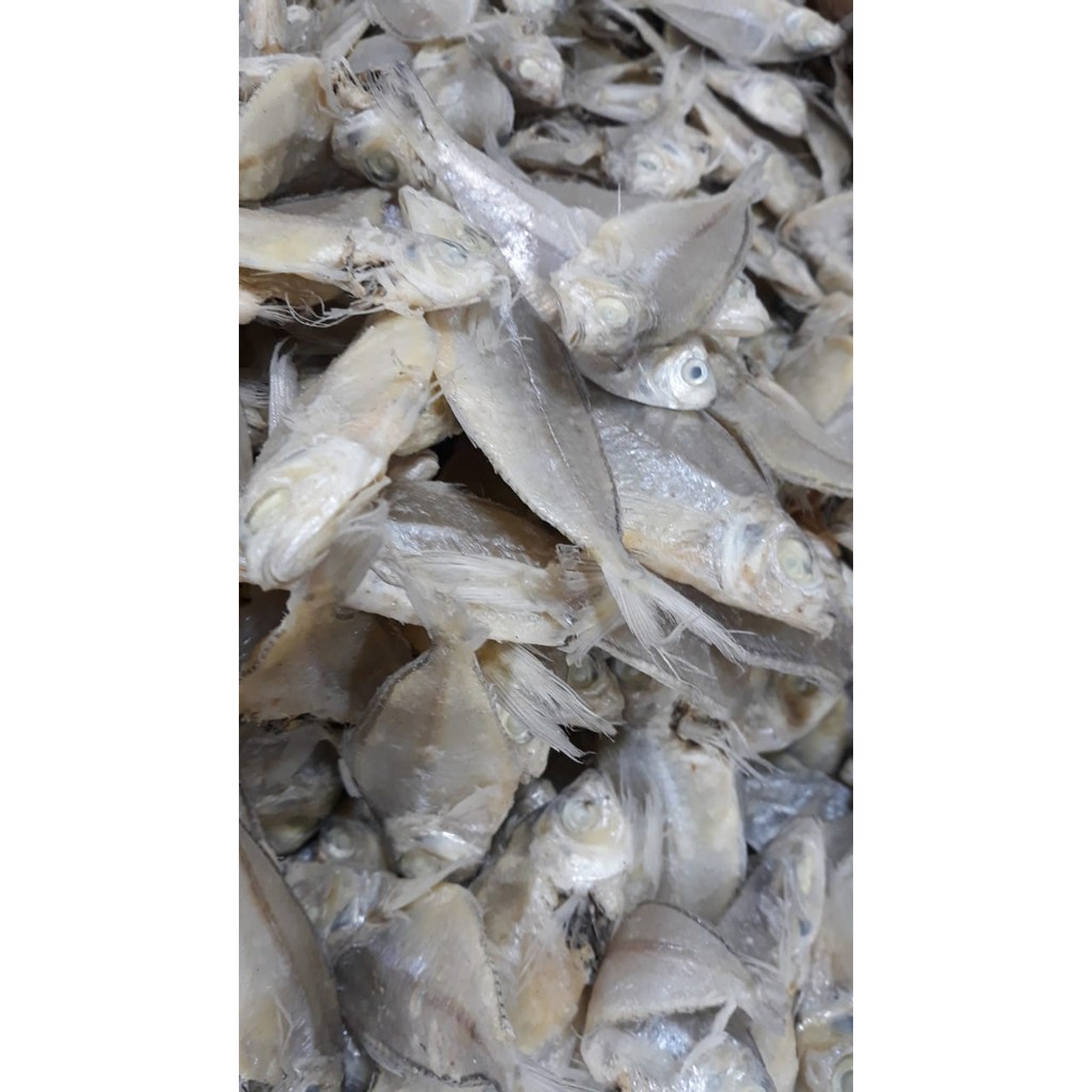 Jual IKAN PERAK 1 KG | Shopee Indonesia