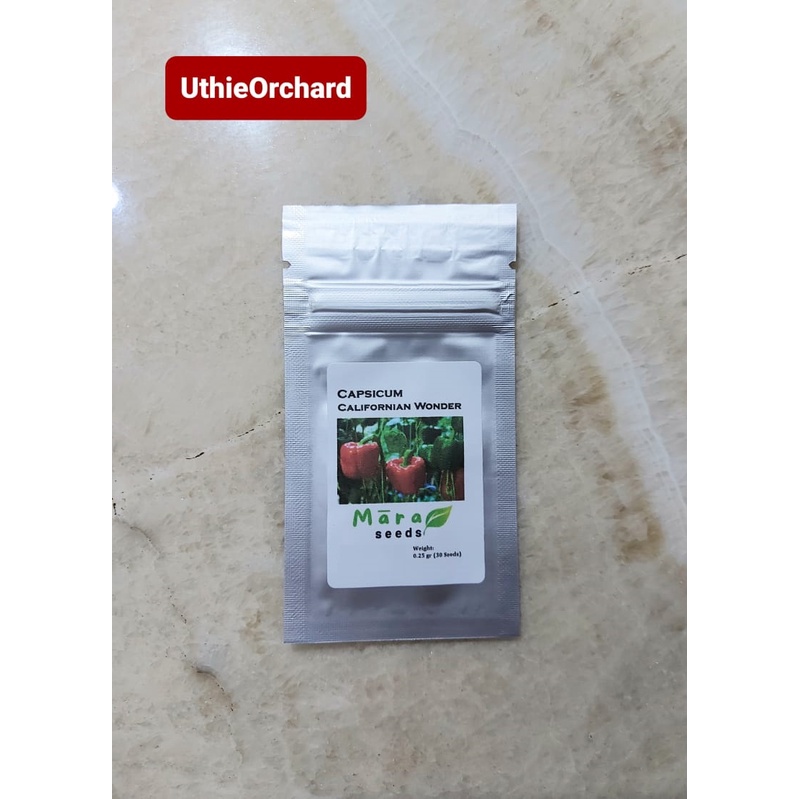 Jual Mara Seeds - Capsicum (Paprika) Californian Wonder (30 Seeds ...