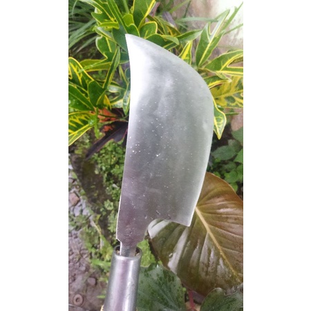 Jual Bendo cacah ikan baja per asli cap HISR Wonosobo | Shopee Indonesia