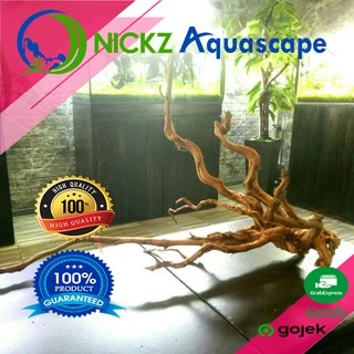 Produk Nickz aquascape | Shopee Indonesia