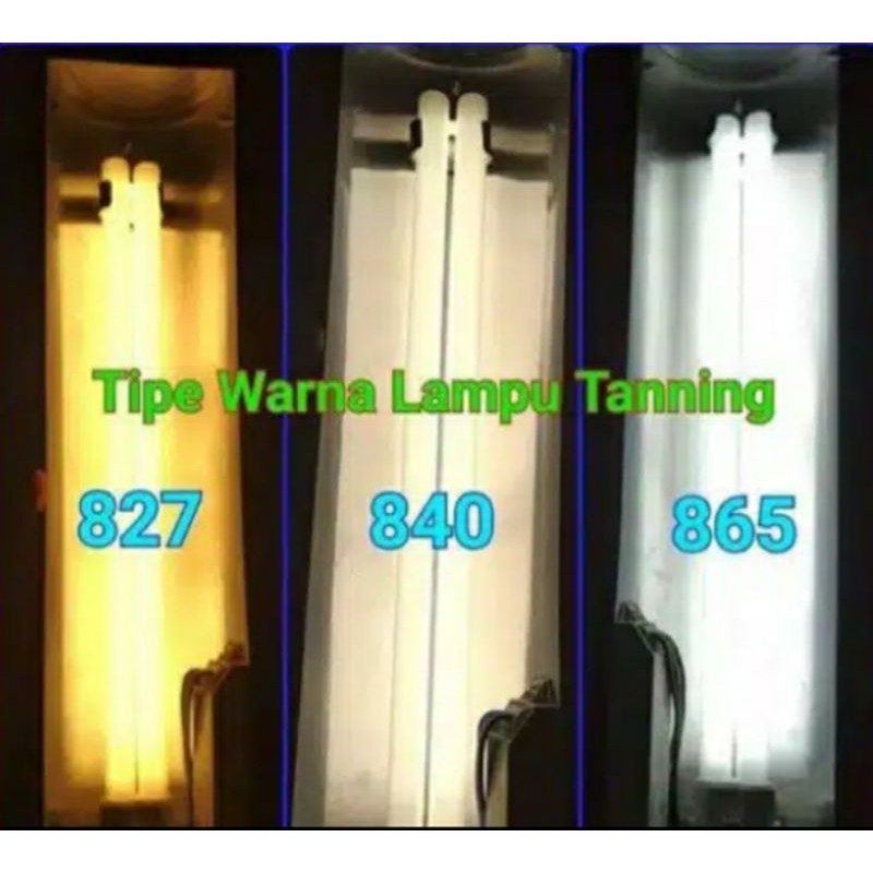 Jual Lampu tanning 1 x PLL 36 watt philips made in poland | Shopee ...
