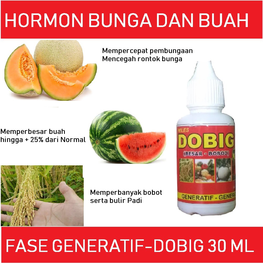 Jual Pupuk Penambah Besar Penambah bobot Buah Dobig 30 ml | Shopee ...