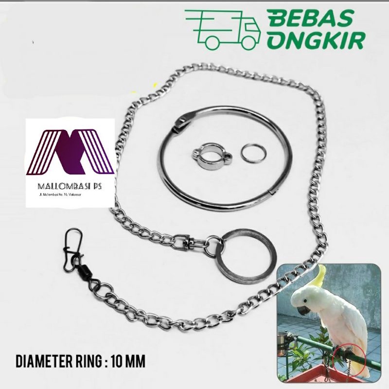 Jual Rantai Borgol Ring Kaki Burung Kakatua Medium Beo Merpati Dara ...