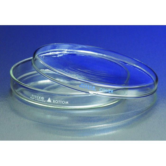 Jual PYREX 3160-100 Petri Dish 100x10 | Cawan Petri original | Shopee ...