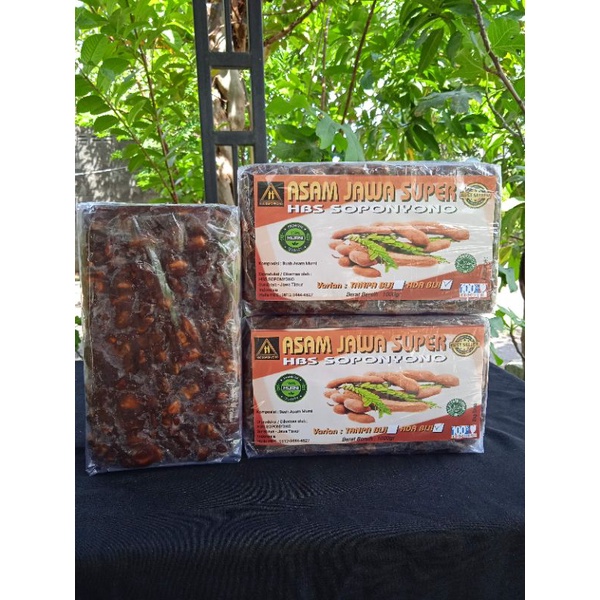 Jual Asam jawa biji KUNING Fresh 1Kg SUPER (premium) / Asem jawa biji ...