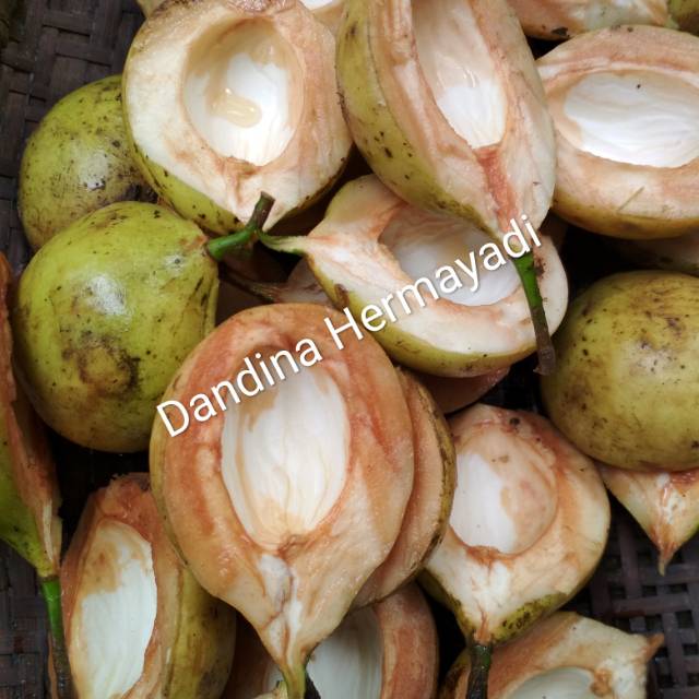 Jual Cangkang buah pala atau daging pala | Shopee Indonesia
