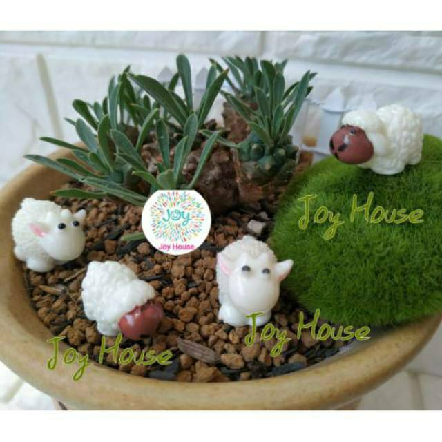 Jual Miniatur Domba Figure Resin Ornamen Kambing Sheep terrarium bonsai ...