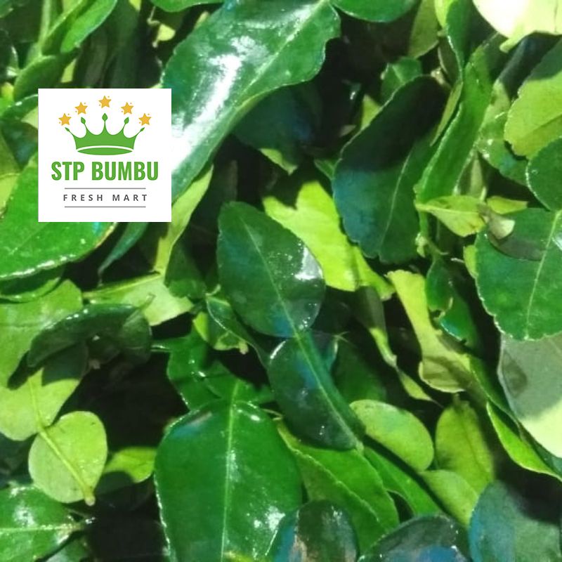 Jual Daun Jeruk Purut Segar Fresh 50 gram - 100 gram | Shopee Indonesia