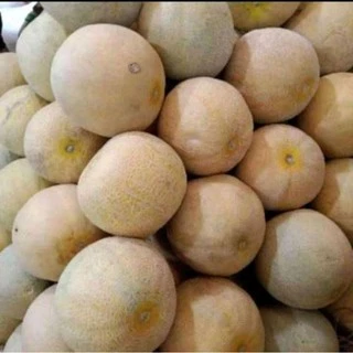 Jual Melon 1 Kg Terlengkap & Harga Terbaru Januari 2026 | Shopee Indonesia