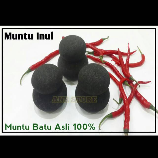 Jual ULEGAN/ULEKAN INUL BATU ASLI 100% UKURAN KECIL | Shopee Indonesia