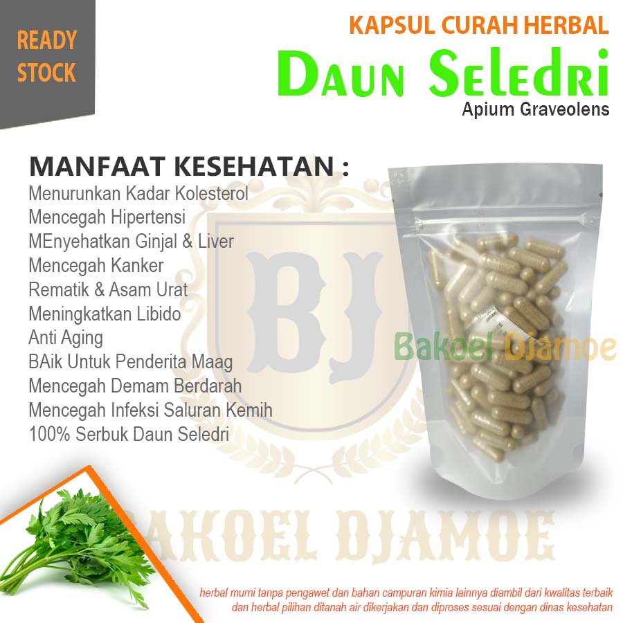 Jual Kapsul curah herbal daun seledri kapsul herbal kolesterol ...