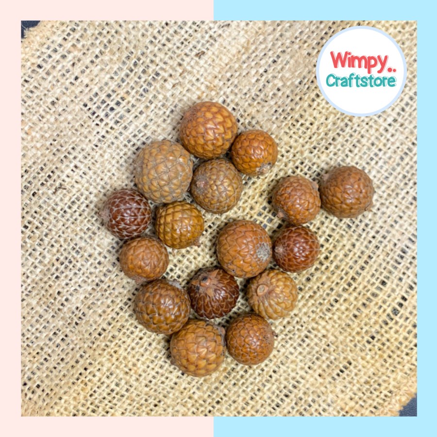 Jual Natural Biji Rotan Properti Foto Props Craft Hiasan Pohon Natal ...