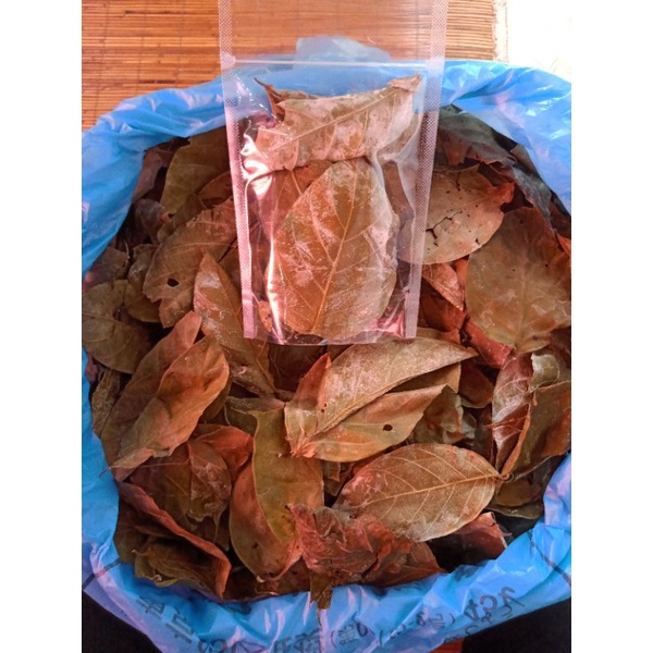 Jual Daun Gambir Sudah di Rebus & Kering /500gr | Shopee Indonesia
