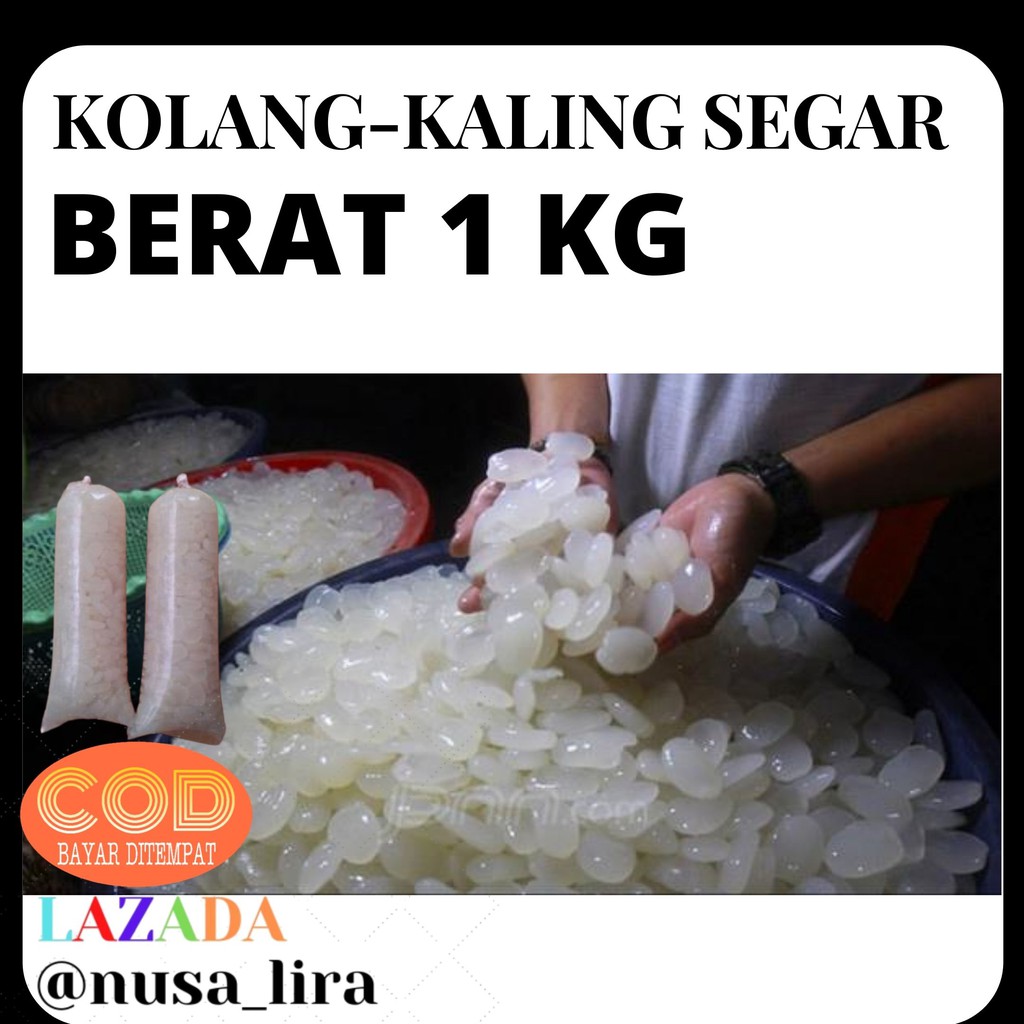 Jual Kolang kaling segar asli kolangkaling segar asli kolang kaling ... Jual Kolang kaling segar asli kolangkaling segar asli kolang kaling ...