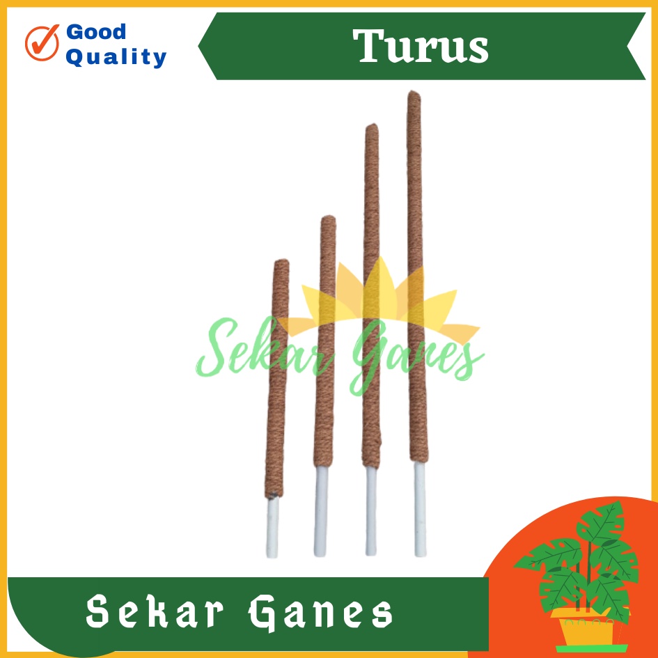 Jual Turus Pipa Ulir 50 60 80 90 Cm Turus Sabut Kelapa Penyangga ...