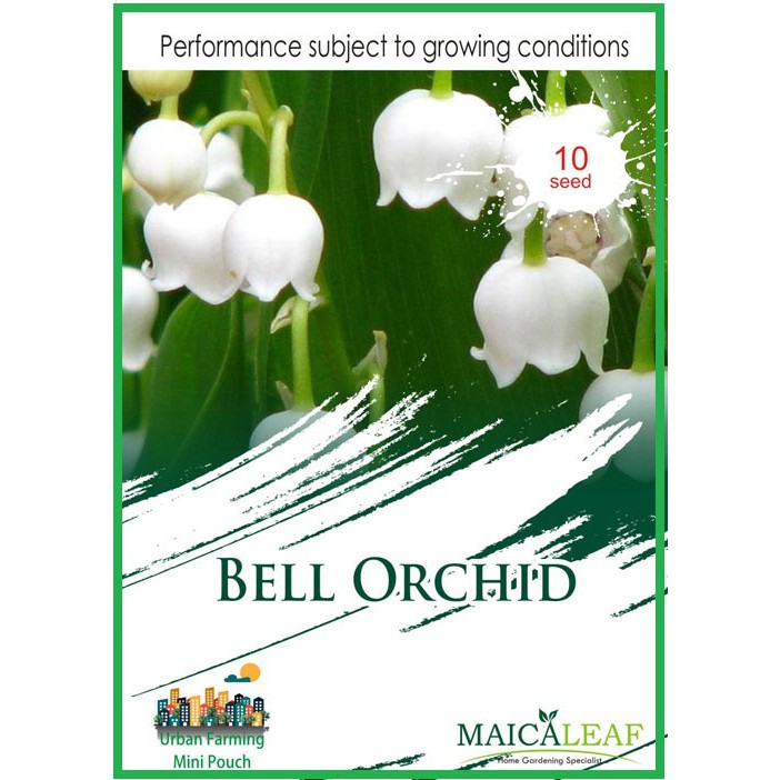 Jual Bibit Bunga benih Bunga Bell ORCHID 1pack | Shopee Indonesia