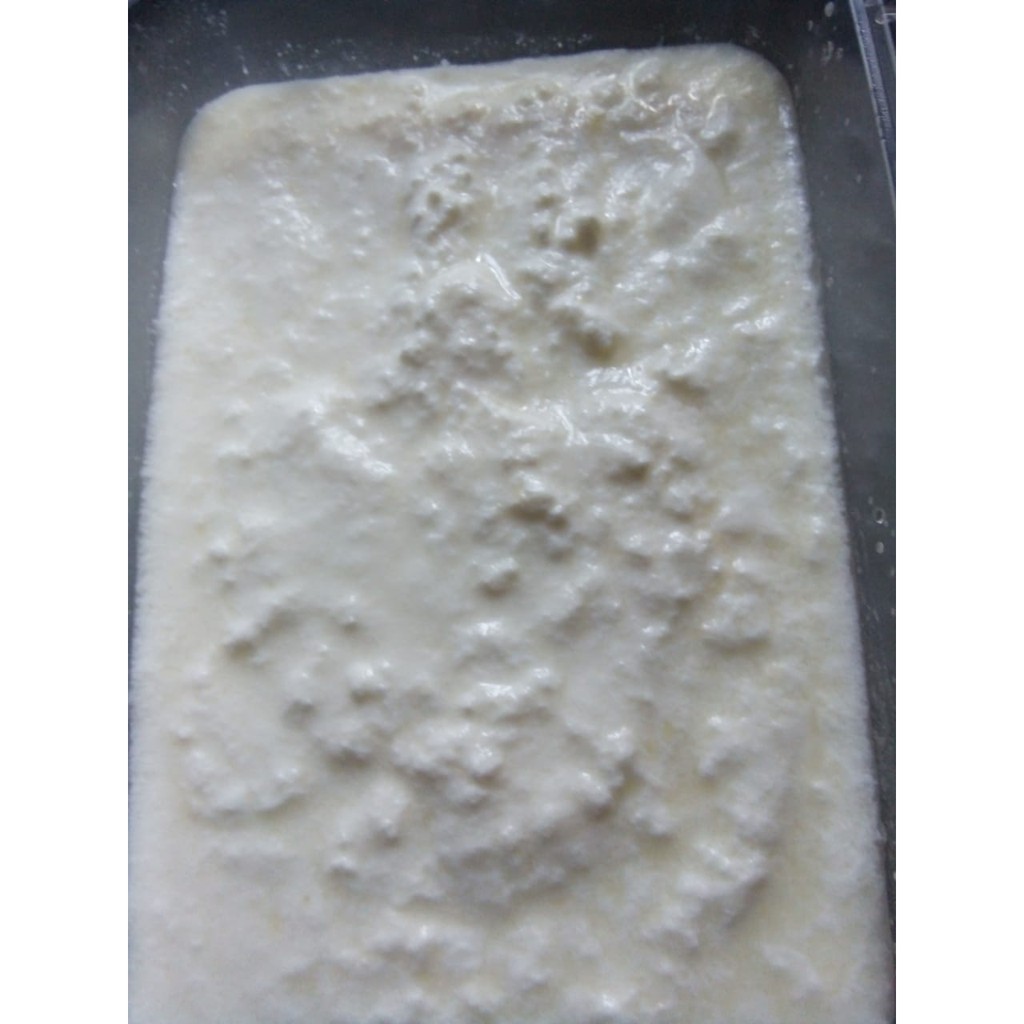 Jual Bibit Grain Susu Kefir Solo | Shopee Indonesia
