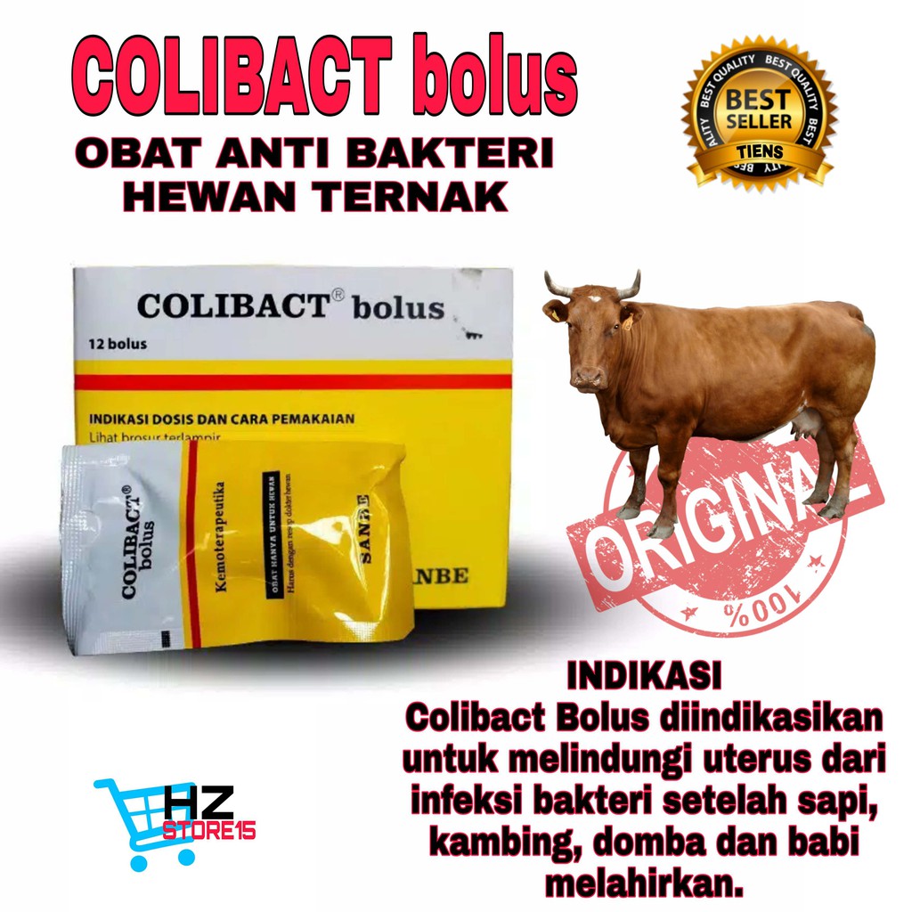 Jual Obat Antibiotik Anti Bakteri Hewan Ternak Sapi, Kambing, Domba ...