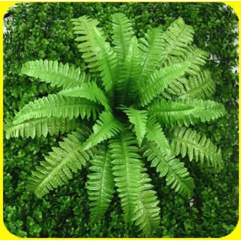 Jual Daun pakis artificial Tangkai Boston k12 daun pakis plastik ...