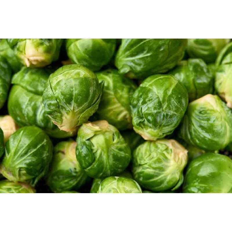 Jual frozen brussel sprout vegetables sayur kubis mini beku 1kg ...