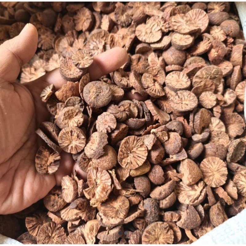 Jual Pinang Kering Terlengkap & Harga Terbaru Juni 2026 | Shopee Indonesia