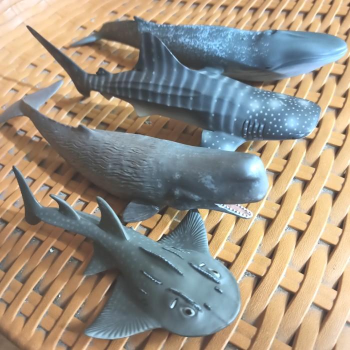 Jual Miniatur Miniatur Ikan Hiu Paus Biru Sperma Sperm Blue Whale Shark ...