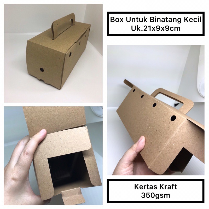 Jual Kotak / Box POLOS untuk Binatang kecil | Shopee Indonesia