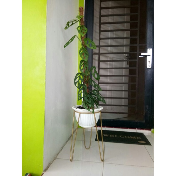 Jual Standing vas besi/standing pot/tempat vas/tempat bunga | Shopee ...