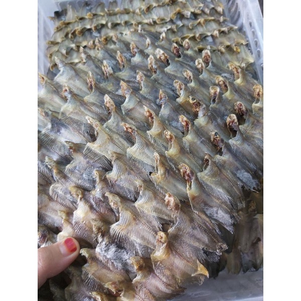 Jual Sapat tikar tawar khas banjar 1kg | Shopee Indonesia